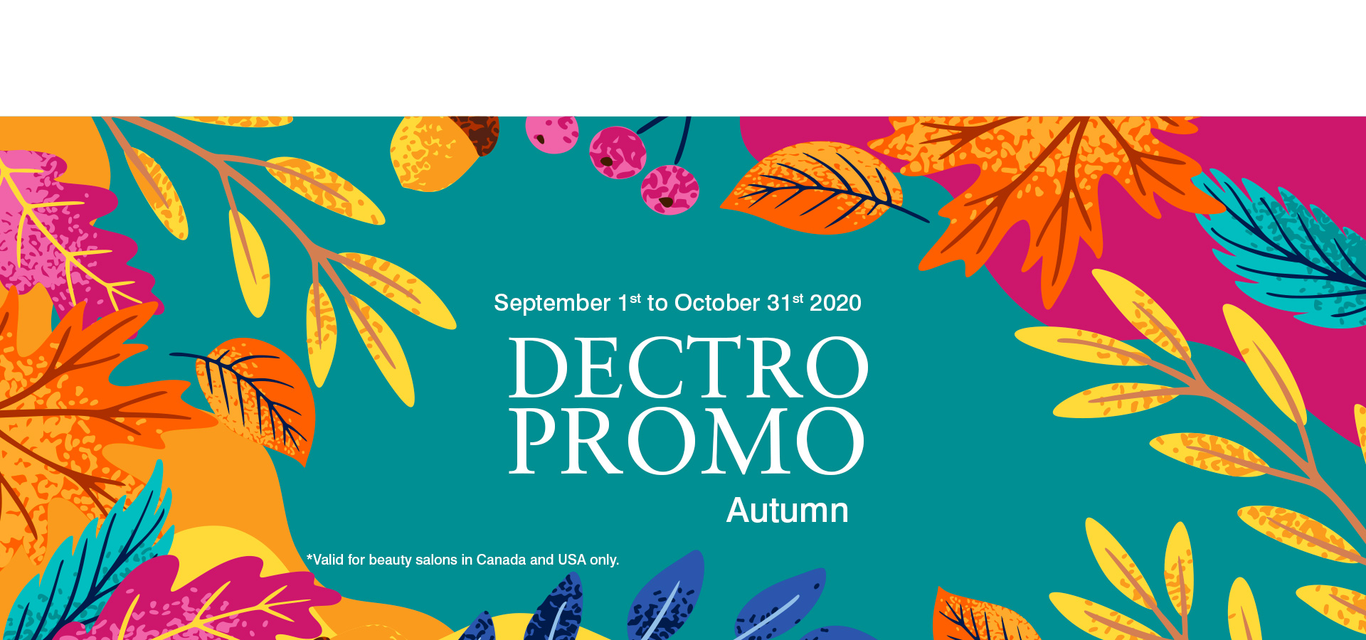 Homepage [www.dectro.us]